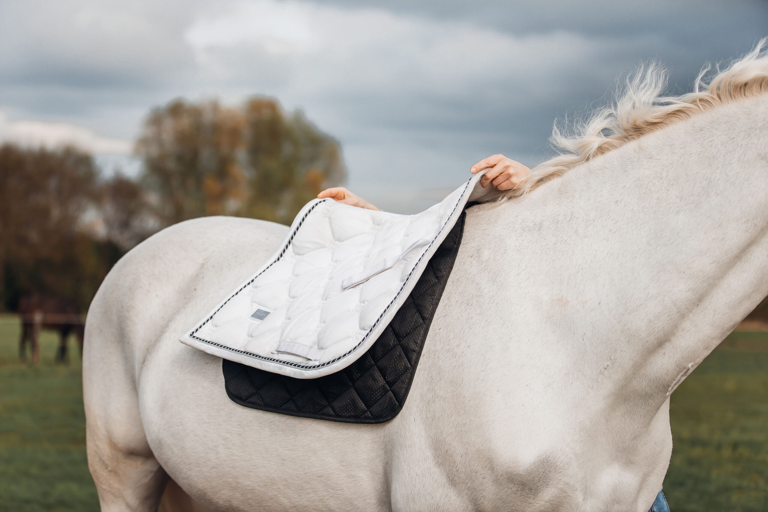 Nieuwe paarden dekjes — De Subliner